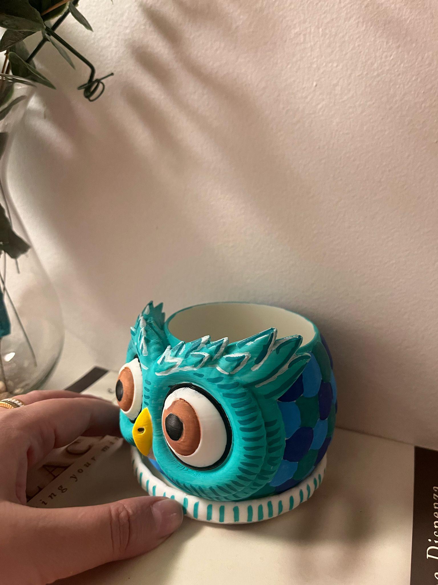 DIY Owl Planter Kit: 3D Printed, Paint-your-own Succulent Pot, Spring ...