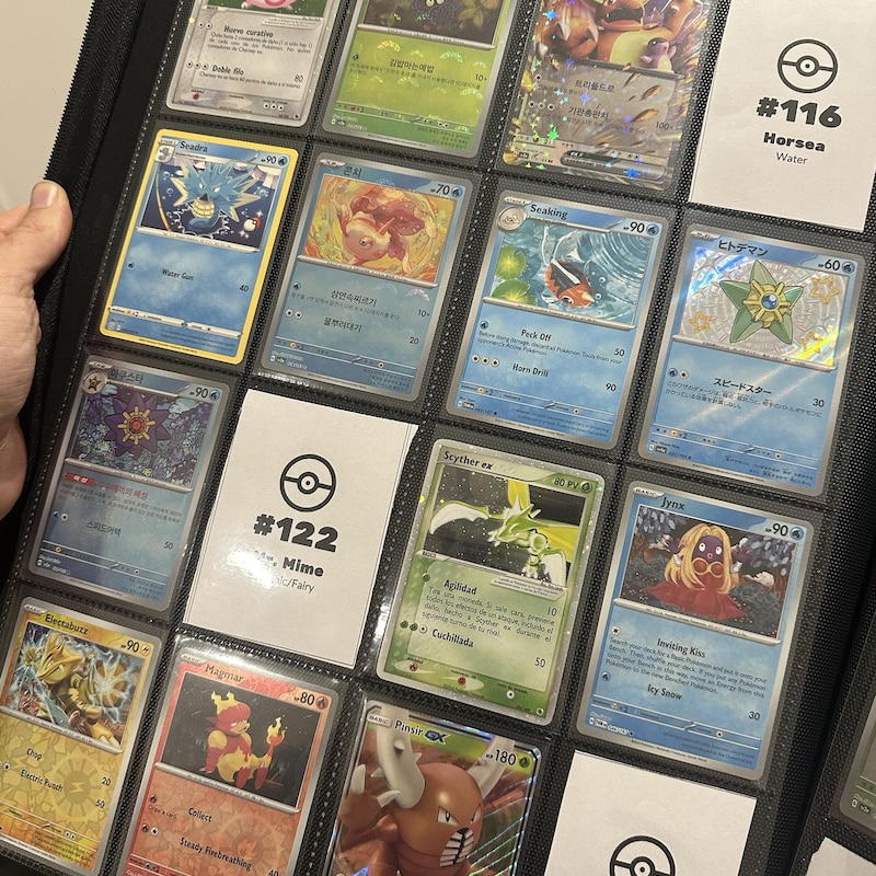 Pokedex Placeholders - Etsy