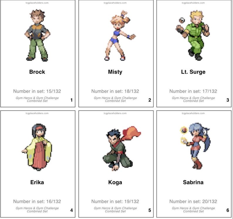 Gym Challenge & Gym Heroes Combined Binder Placeholder – Digital ...