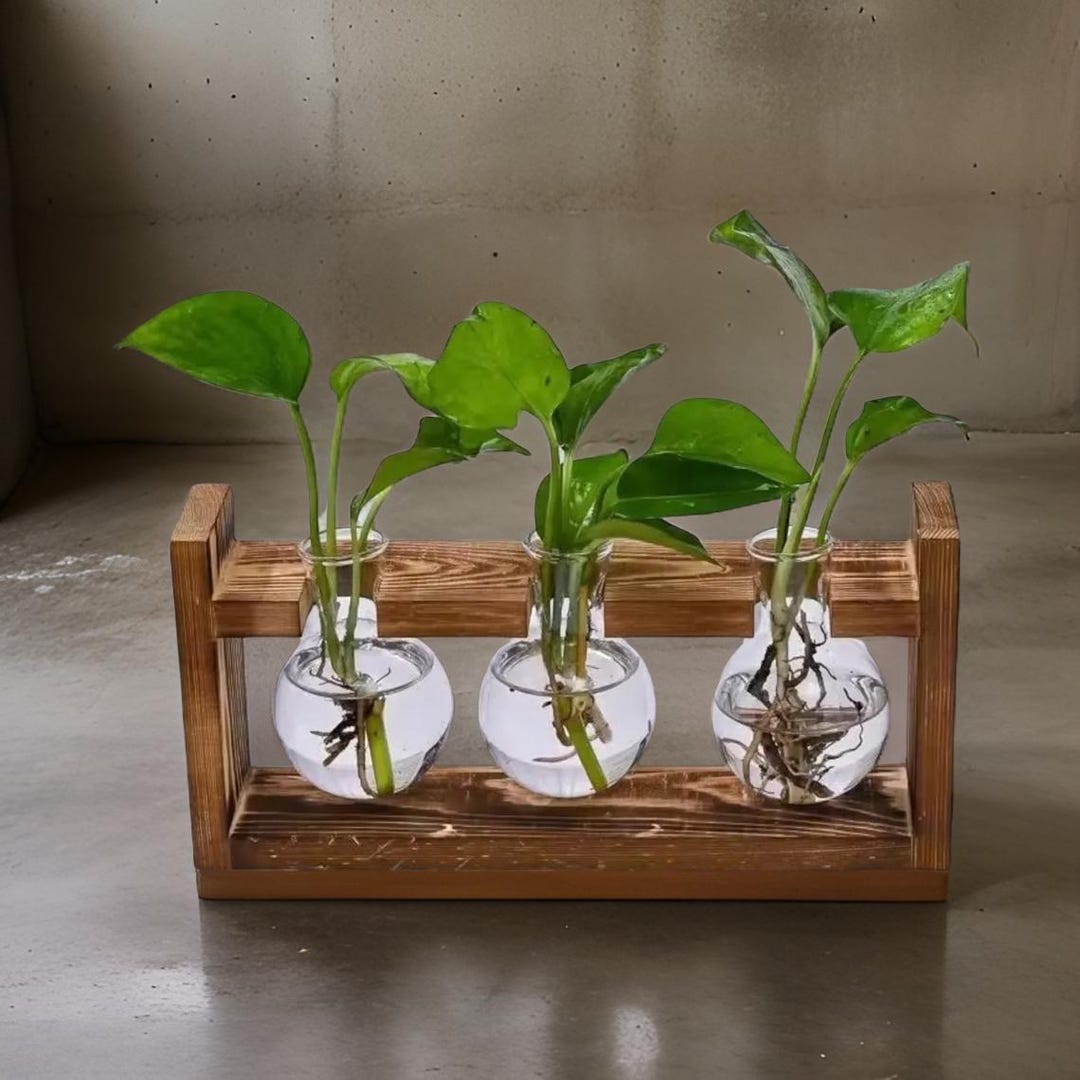 Plant Propagation Station | Stylish Starter Kit for Indoor Plants ...