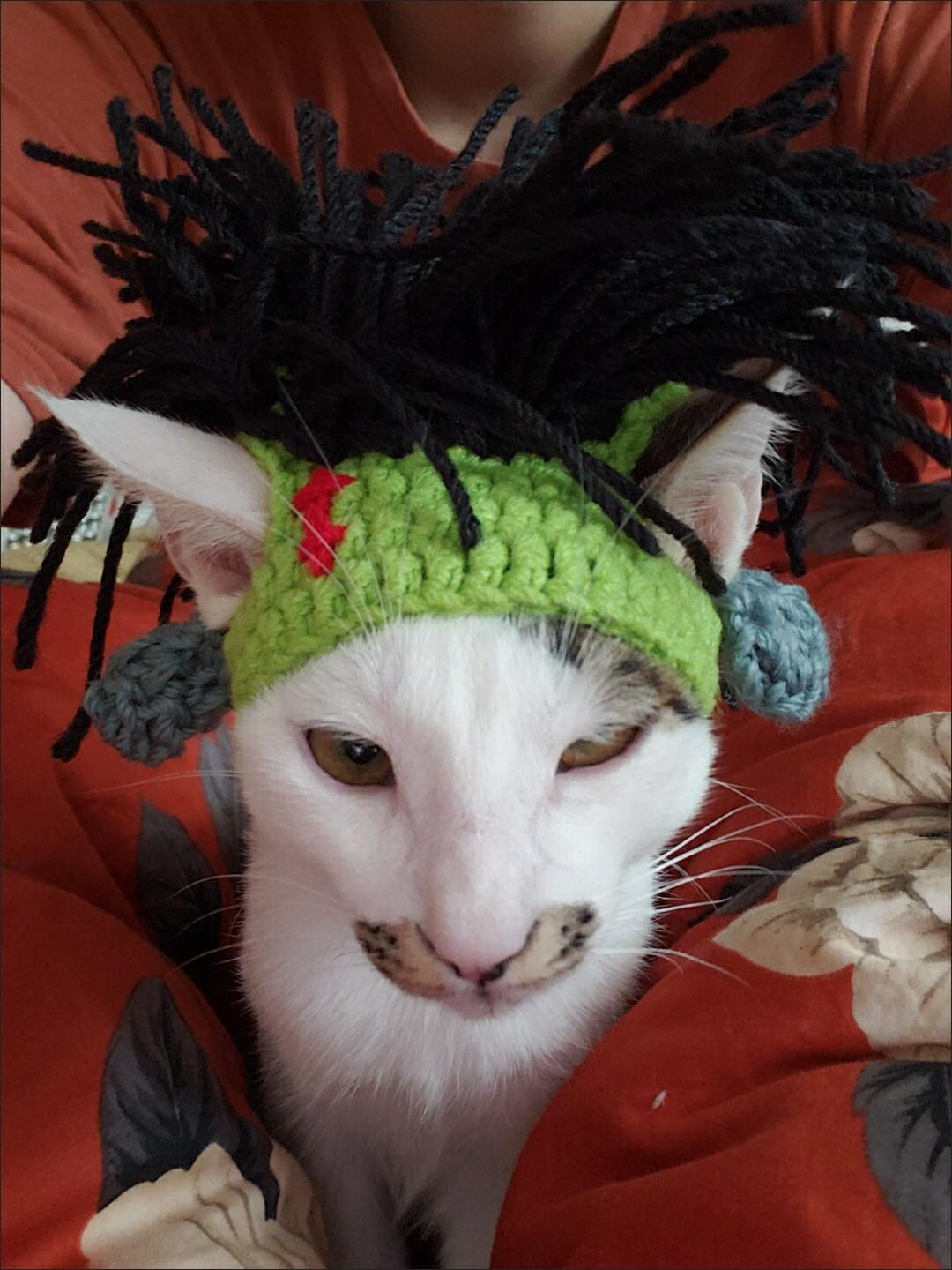 Handmade Funny Cat Hat – Cute Crochet Hat for Cats & Small Dogs | Viral ...