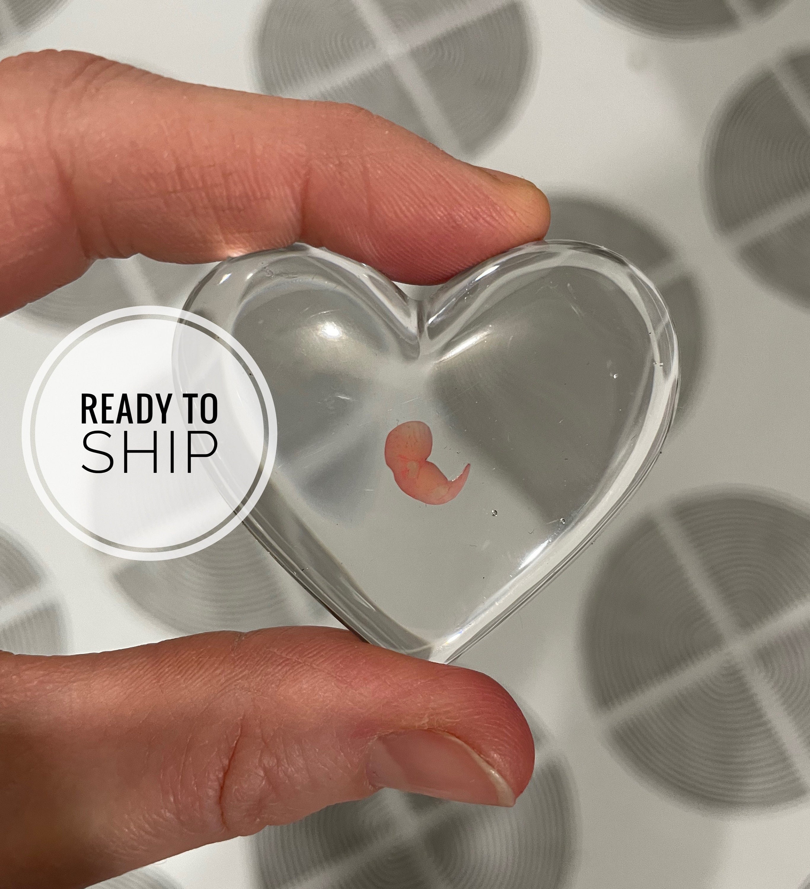 Miscarried Embryo At 3 Weeks