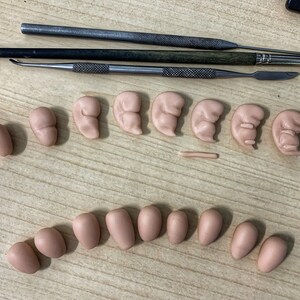 MADE TO ORDER - 8 Week Gestation Embryo, Memorial/honor Sculpture ...