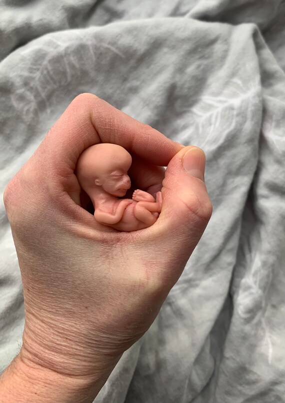 Made To Order 10 Week Gestation Fetus Baby Memorial Honor Etsy