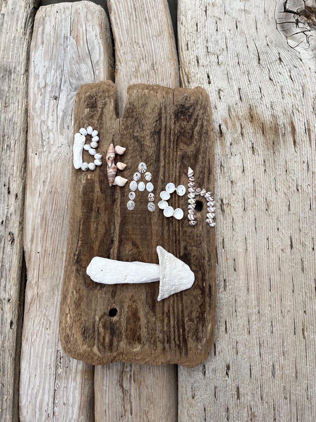 Driftwood Shell Beach Sign - Etsy