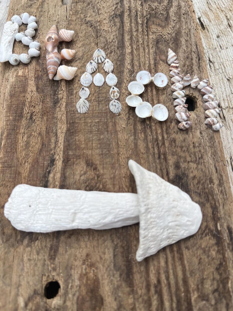 Driftwood Shell Beach Sign - Etsy