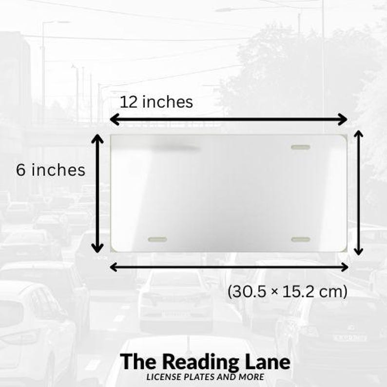 Dude License Plate, Man Cave Sign or Gift Cool Guys, Friends and ...