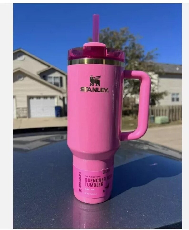 Custom Name Stanley Elphaba Wicked Stanley Wicked Glinda 40 Oz Quencher ...