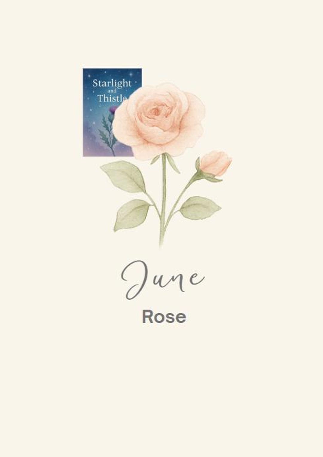 June Birth Flower Rose | Printable Wall Art | Botanical Digital ...