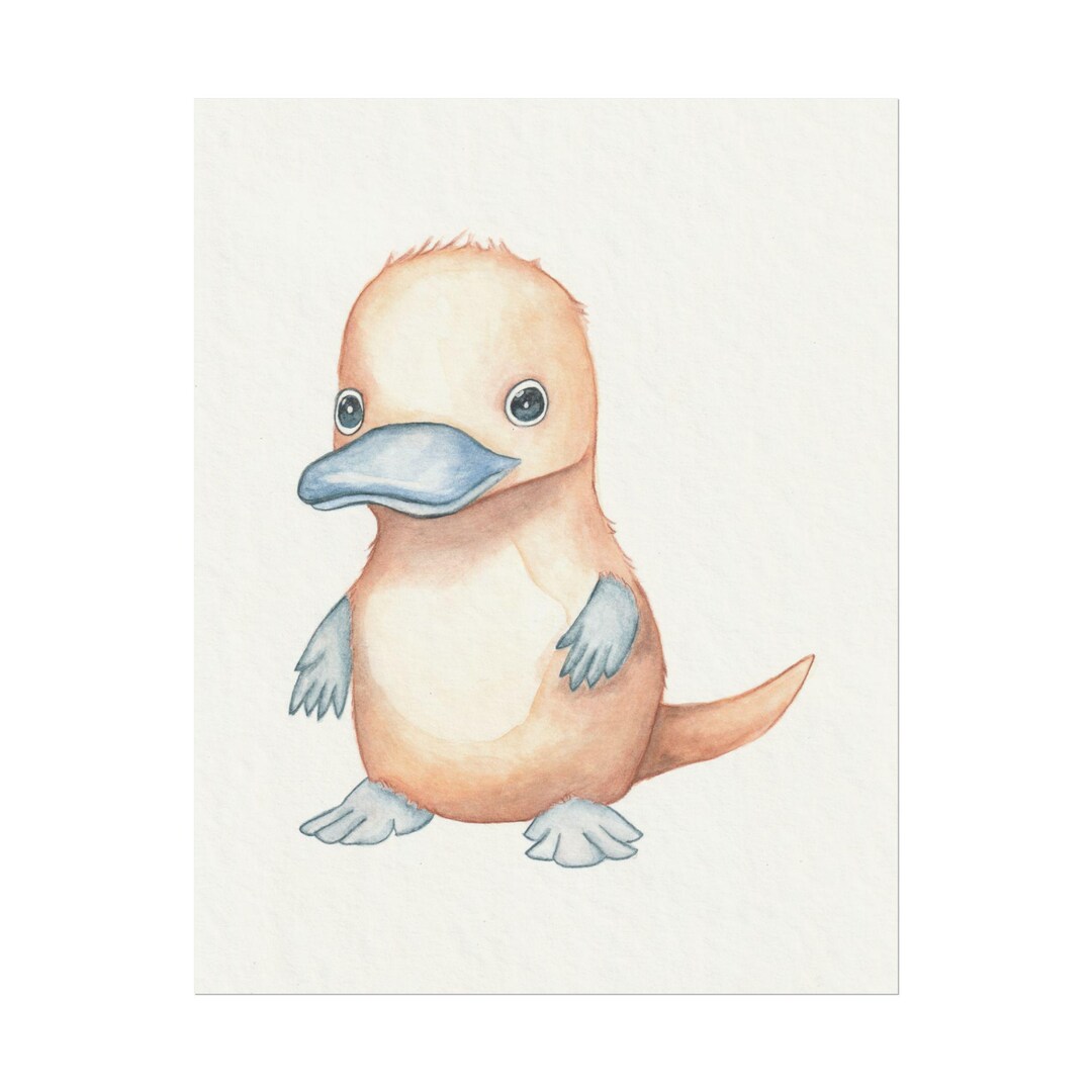 Baby Platypus - Art Print, Varying Sizes Available, Matte or Fine Art ...