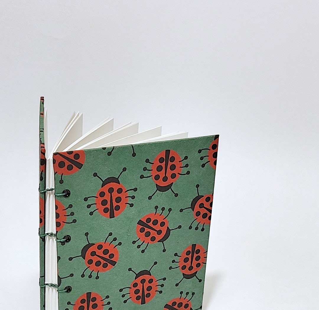 Ladybug Journal - Ladybug Notebook - Ladybug Sketchbook - Summer ...