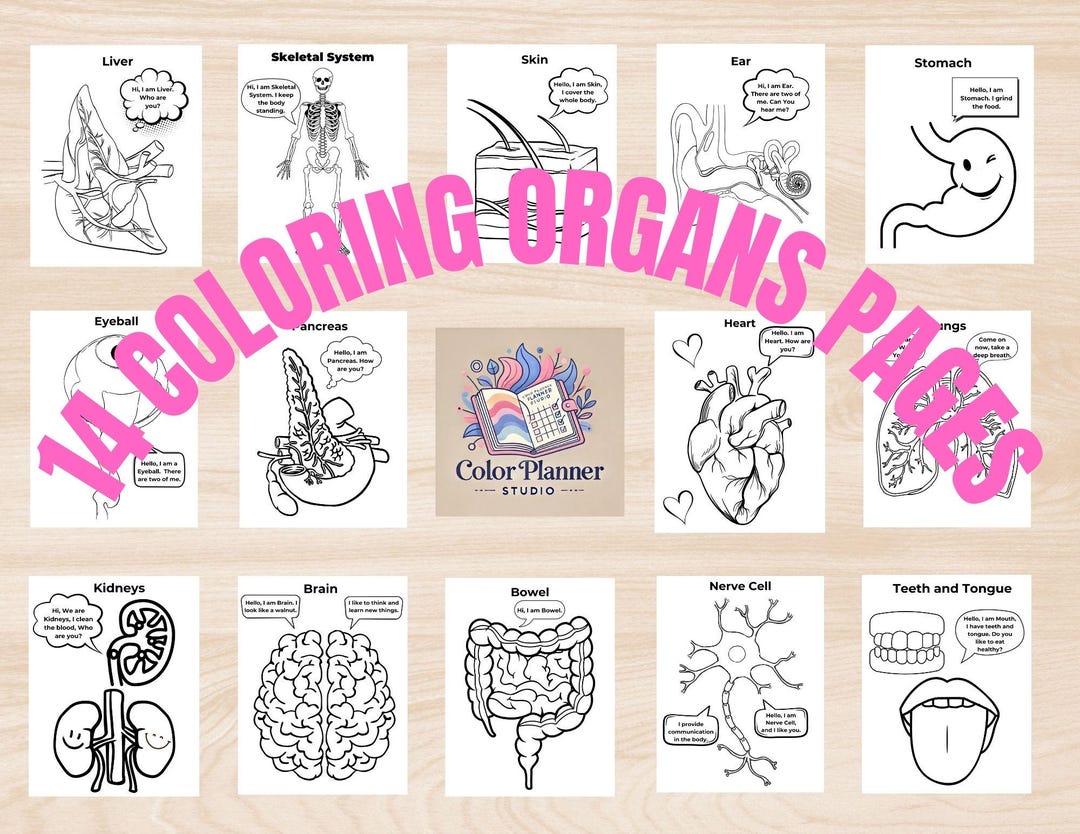 14 Organs Coloring Pages, Coloring Pages, Child Coloring Pages, Thanks ...