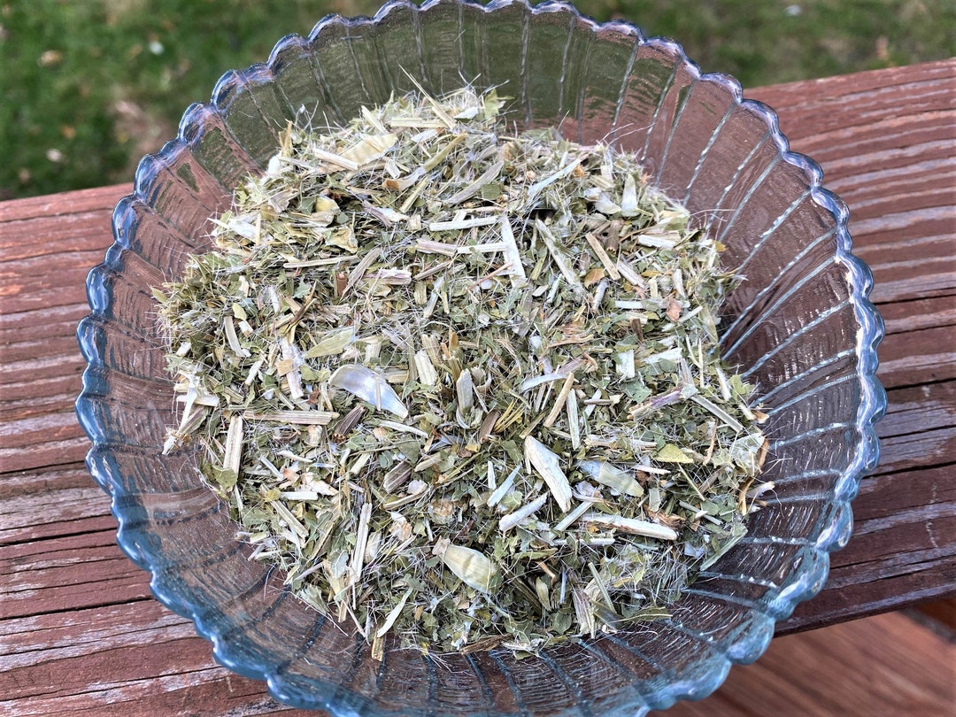 BLESSED THISTLE, Organic, 1 Oz, Cnicus Benedictus, Holy Thistle, Dried ...