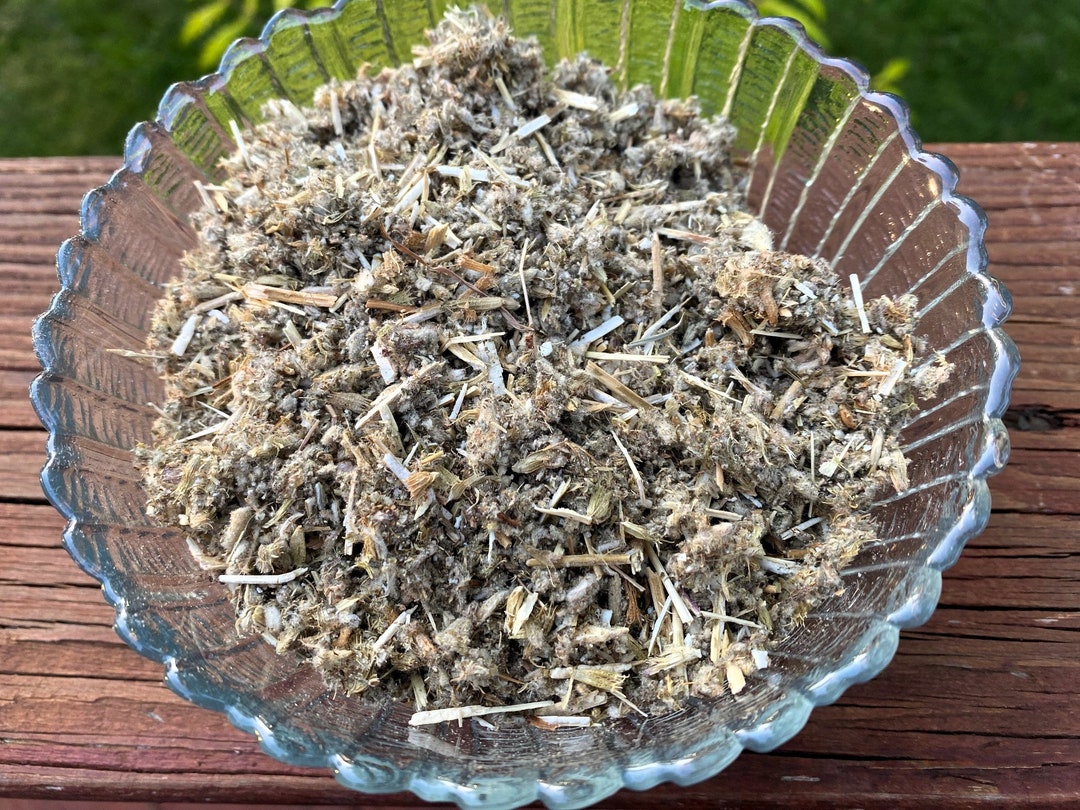 HOREHOUND, 1 Oz, Marrubium Vulgare, Dried Herb, Protection, Break Hexes ...