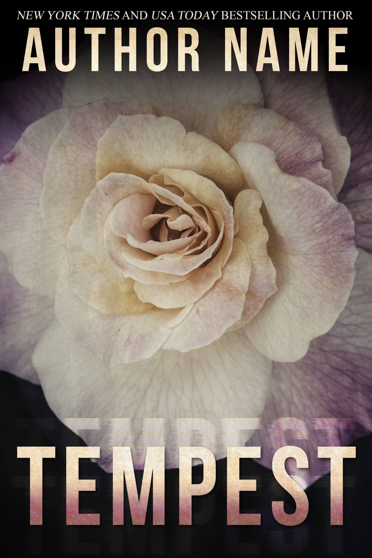 Premade Digital Book Ebook Cover Design tempest Fiction Young New Adult ...