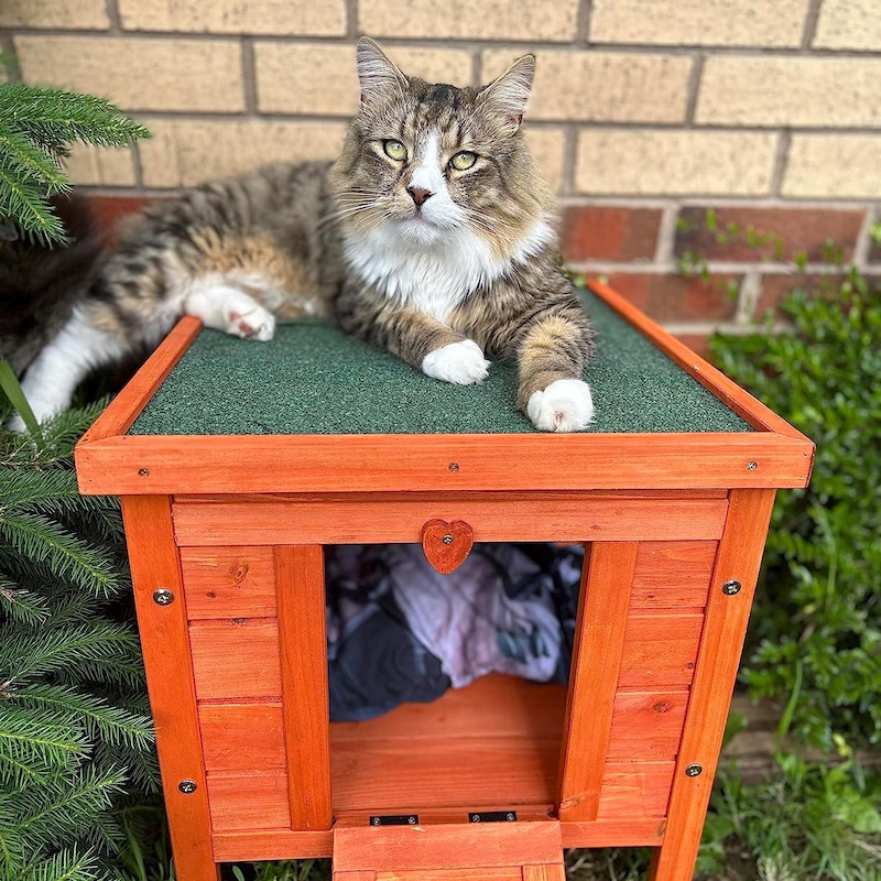 Small Animal Outdoor - Etsy UK