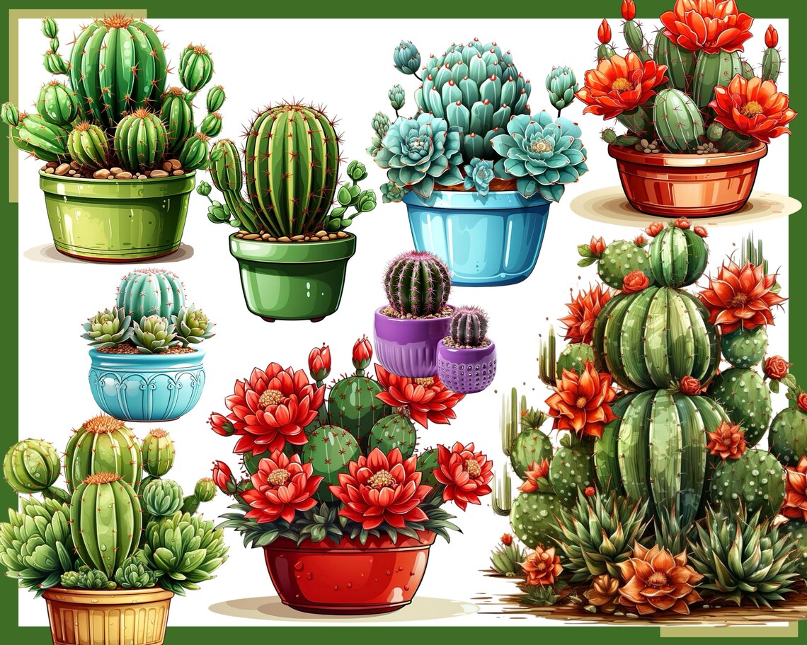 Cactus Clipart Set: 120 Desert Plant PNG Graphics (digital Download) - Etsy