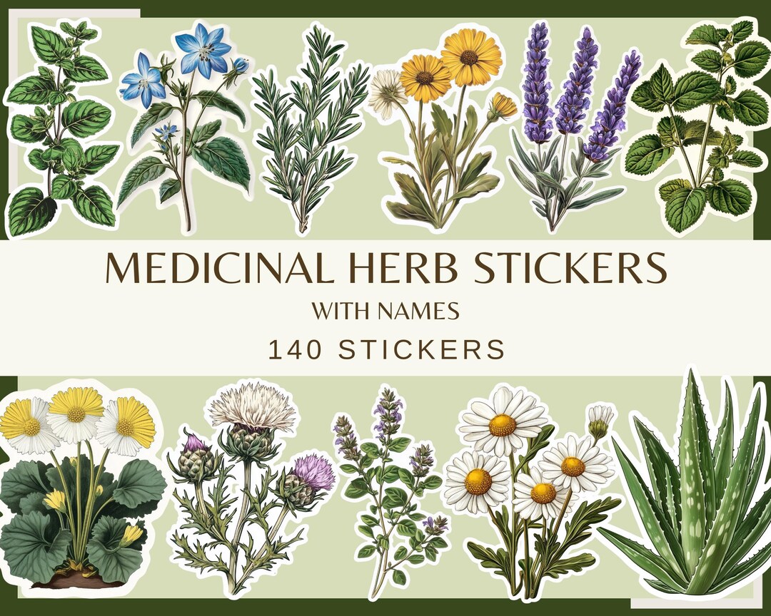 MEDICINAL HERBS STICKERS With Names - 140 Clip Arts (300 Dpi ...