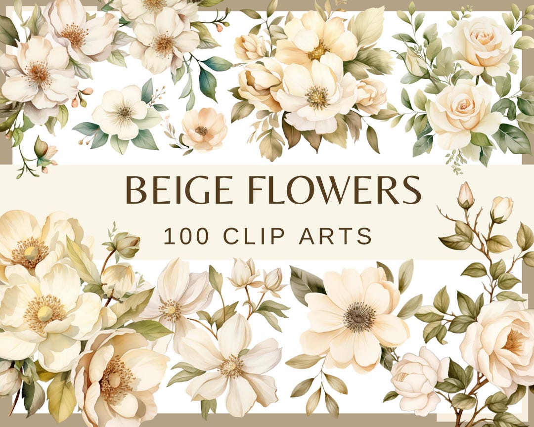BEIGE FLOWERS - 100 Clip Arts (300 DPI, Bundle, Digital, Floral, Nature ...