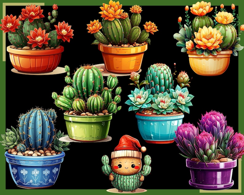 Cactus Clipart Set: 120 Desert Plant PNG Graphics (digital Download) - Etsy