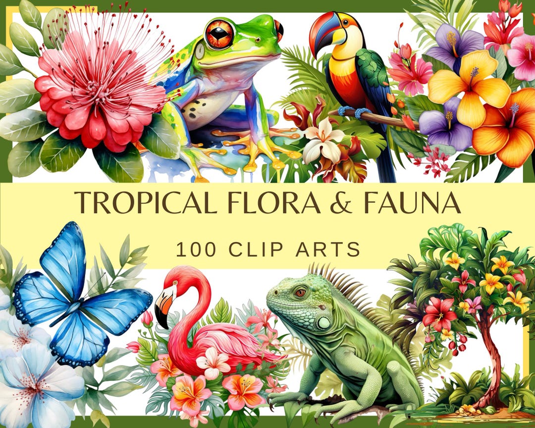 TROPICAL FLORA & FAUNA - 100 Clip Arts (300 Dpi, Carribean, Bundle ...