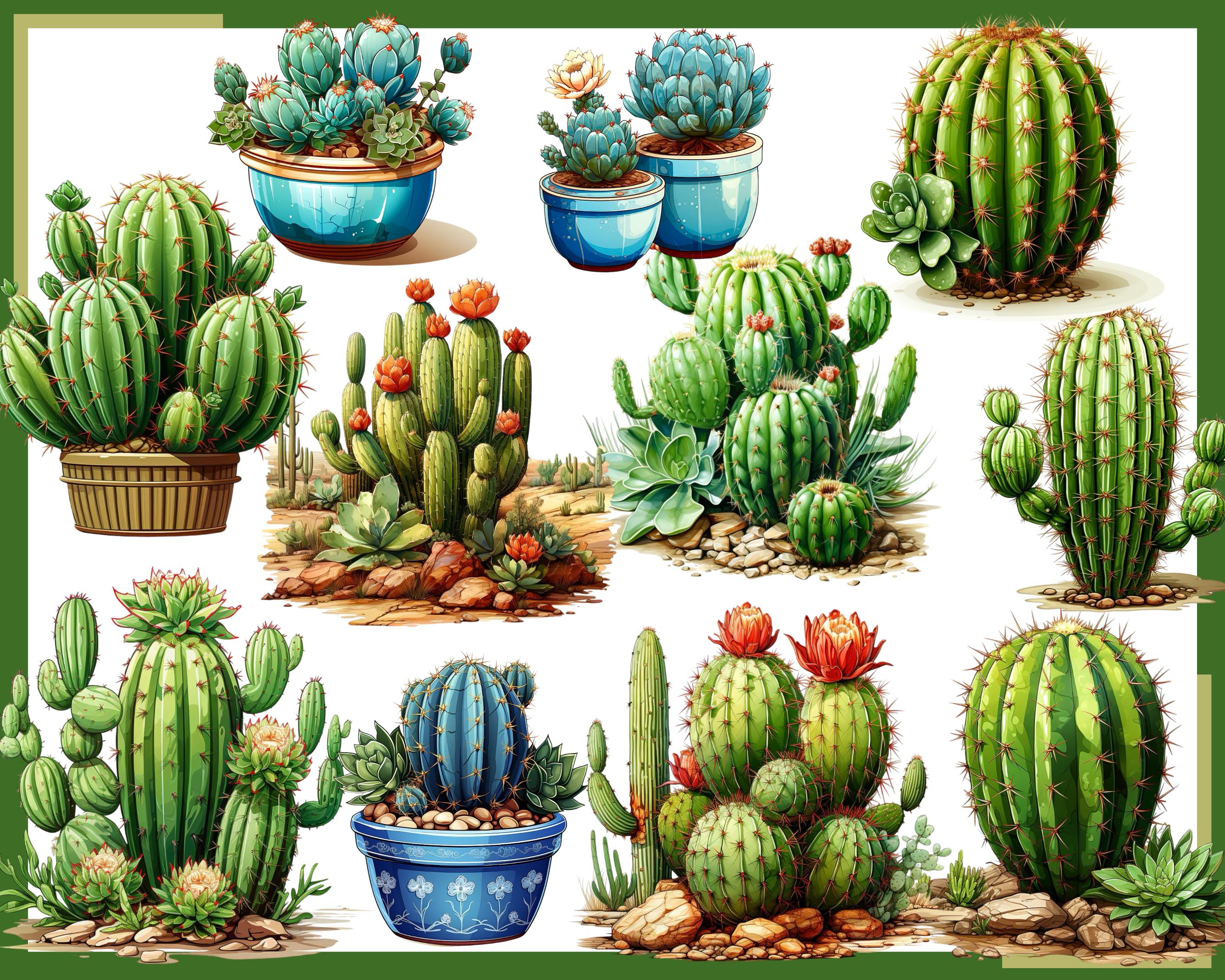 Cactus Clipart Set: 120 Desert Plant PNG Graphics (digital Download) - Etsy