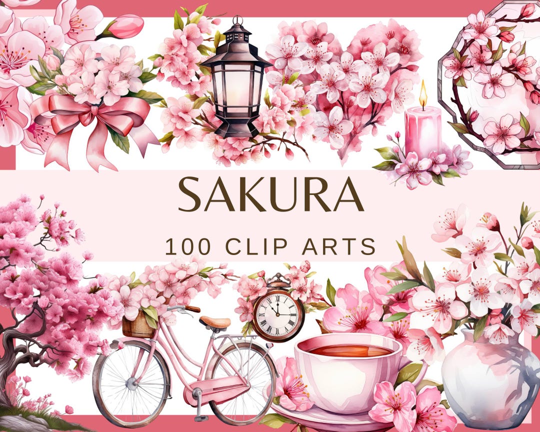 Sakura Clipart Bundle: Cherry Blossom PNG Graphics (digital Download ...