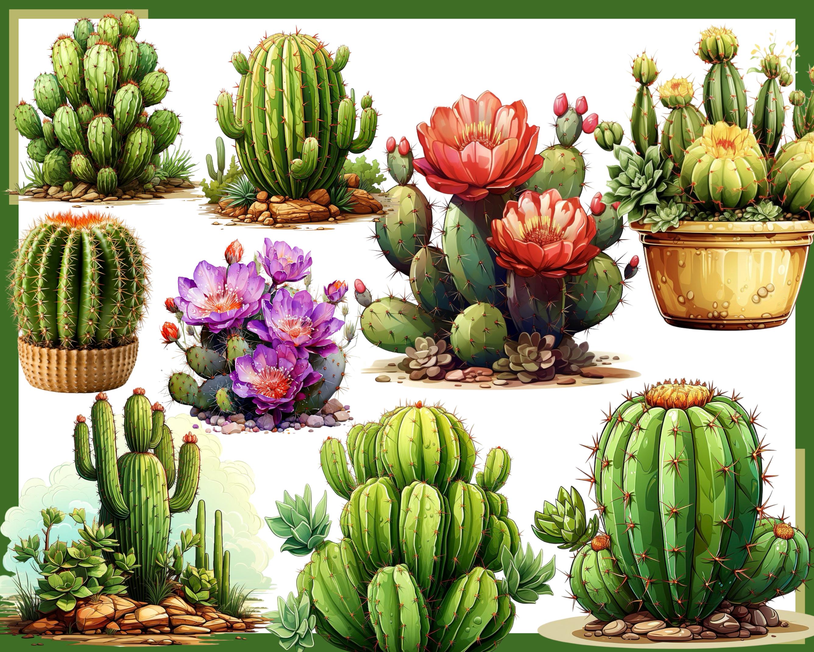 Cactus Clipart Set: 120 Desert Plant PNG Graphics (digital Download) - Etsy