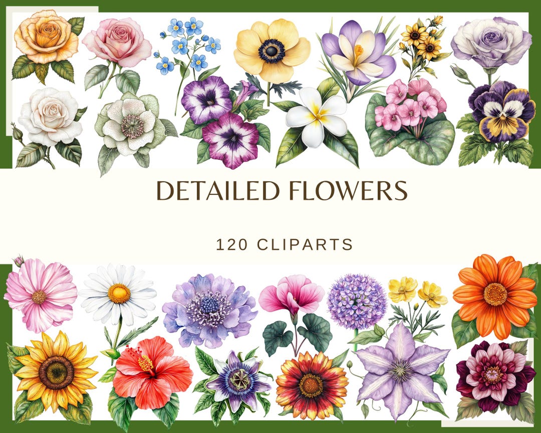 Detailed Flowers: 120 Clipart Floral Rose, Clematis, Hibiscus ...
