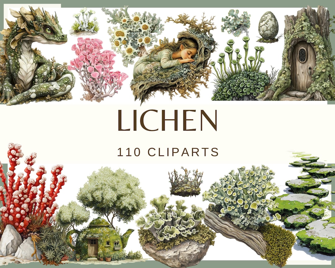 Lichen Clipart Set: Watercolor Botanical Illustrations (PNG, 300 DPI ...