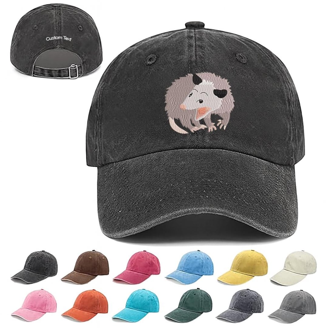 Funny Opossum Embroidery Custom Hat, Quirky Possum Dad Hat for Men and ...