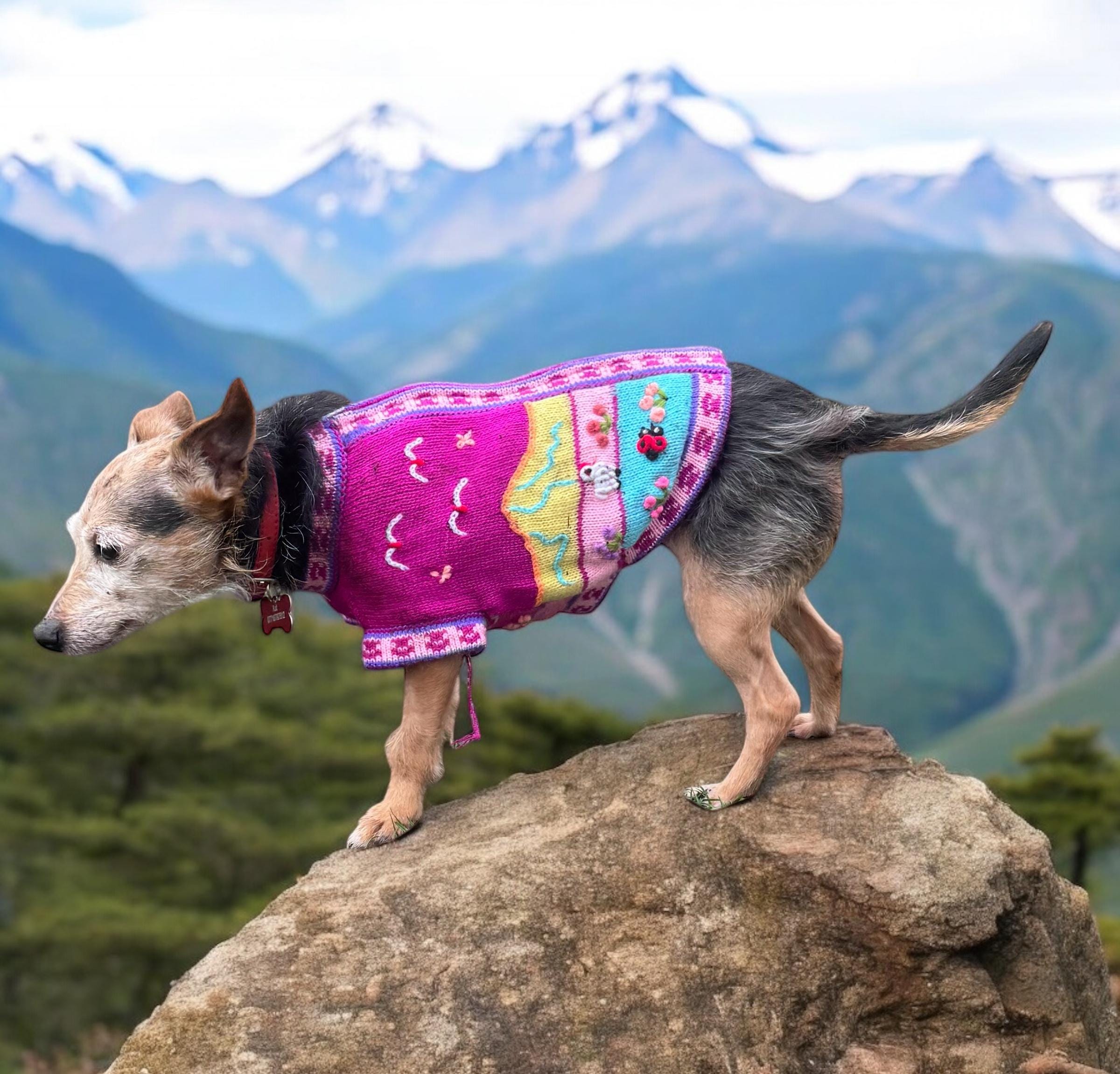 Beautiful, Handmade Dog Coats - Etsy
