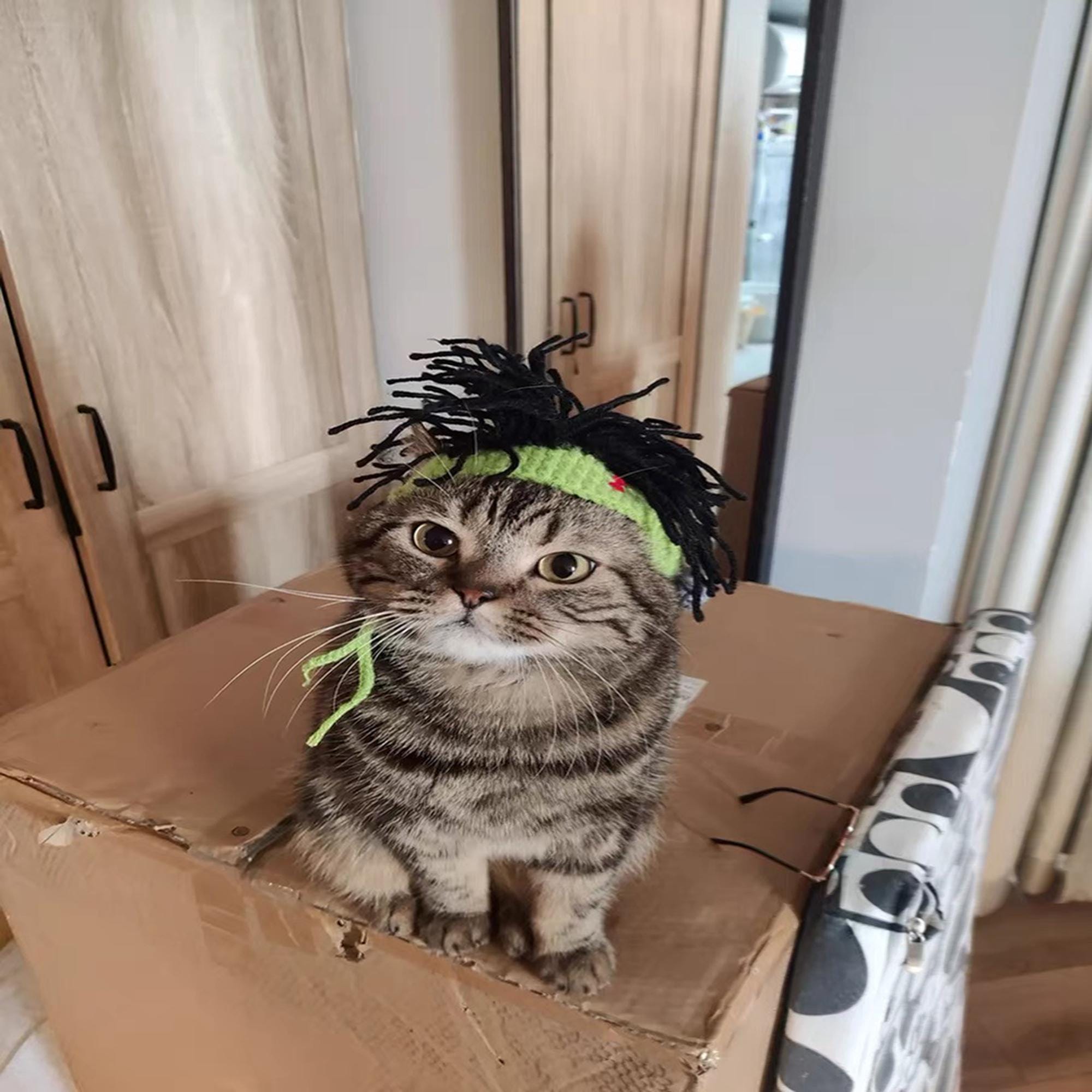 Handmade Cat Hats,pet Costumes, Cat Costumes, Knit Hat, Cat Hats, Pet ...