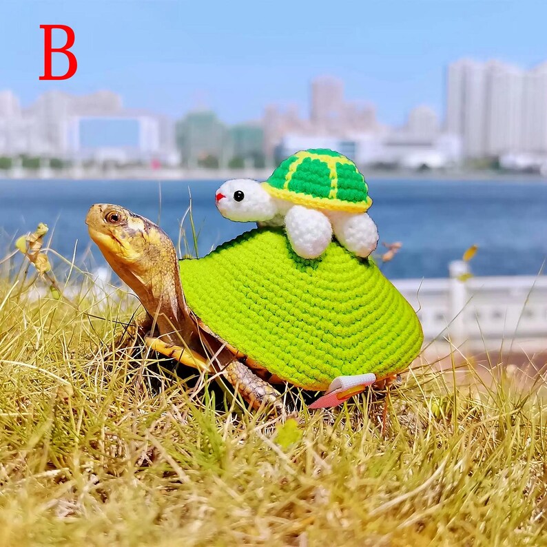 Handmade Custom Turtle Sweaters, Personalized Pet Clothing, Suitable ...