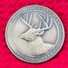 Vintage Medallion ~ Old Brass Medallion ~ Unique Brass Medal ...