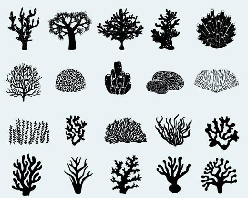 Coral Reef SVG Bundle: Ocean Life Clipart, Cricut & Silhouette Cut ...