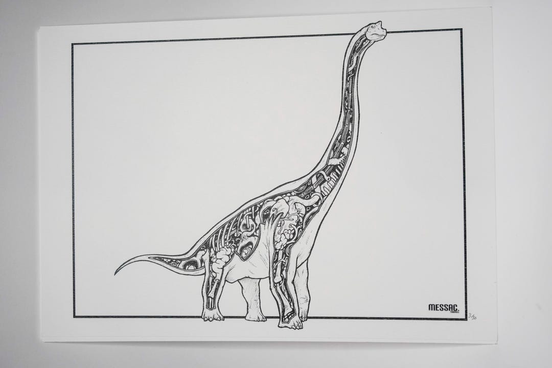 DIPLODOCUS: Anatomical Drawing of Strange Dinosaurs by the Artist ...