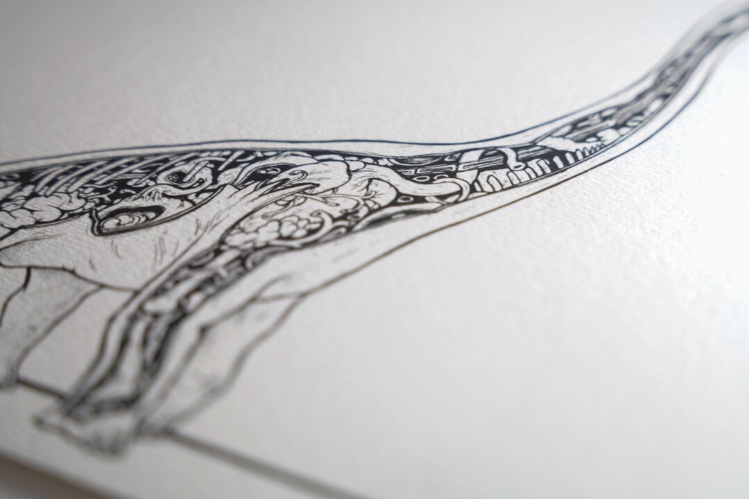 DIPLODOCUS: Anatomical Drawing of Strange Dinosaurs by the Artist ...