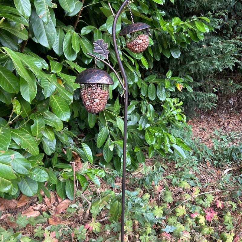 Garden Acorn Bird Feeder - Etsy UK