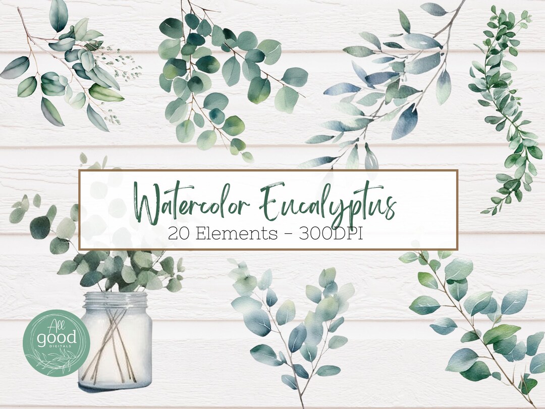 Watercolor Greenery | Eucalyptus Clipart | Greenery Clipart | Green ...