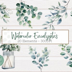 Watercolor Greenery | Eucalyptus Clipart | Greenery Clipart | Green ...