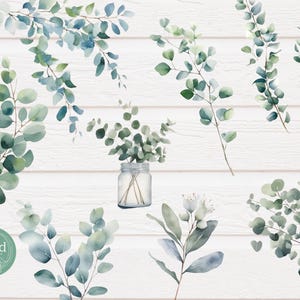 Watercolor Greenery | Eucalyptus Clipart | Greenery Clipart | Green ...