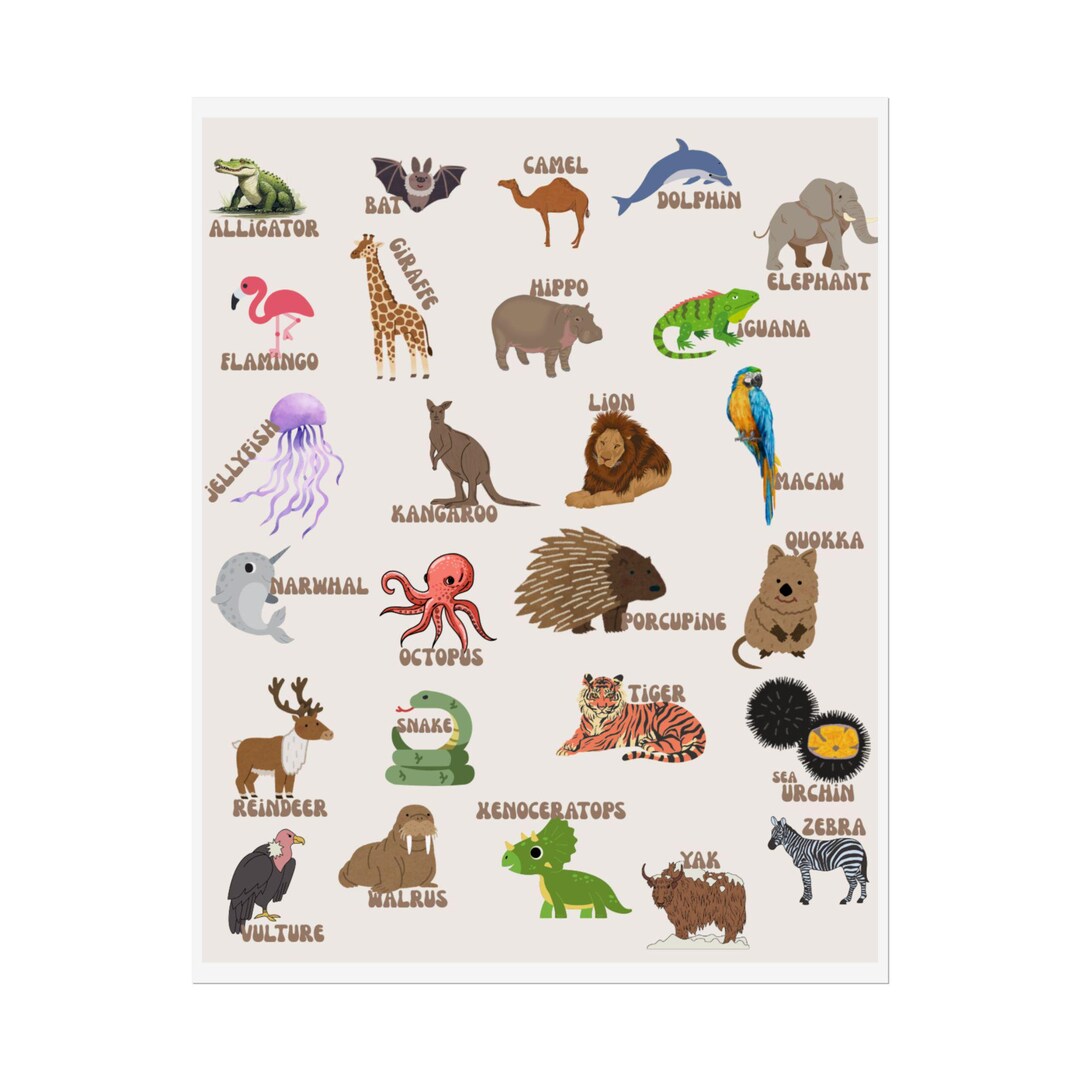 Animal Rolled Posters for Kids' Rooms, Educational Art, Nursery Decor ...