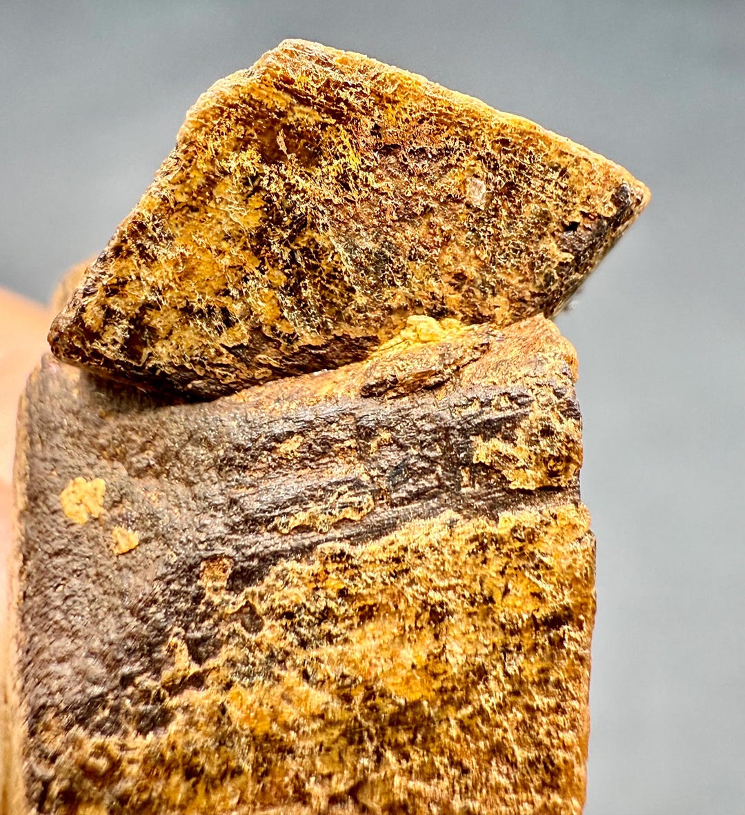 Rare Siderite Crystal Specimen: Earthy Mineral Collectible, Healing ...