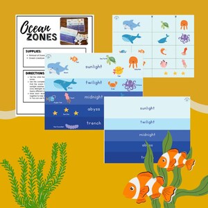 Ocean Zones Sorting Activity, Under the Sea Science for Preschoolers - Etsy