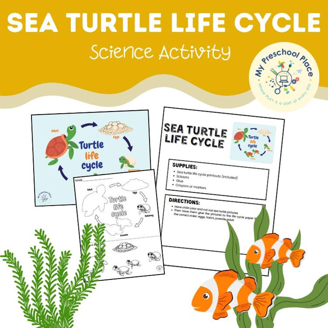 Sea Turtle Life Cycle Activity, Ocean Cut and Paste Activity for ...