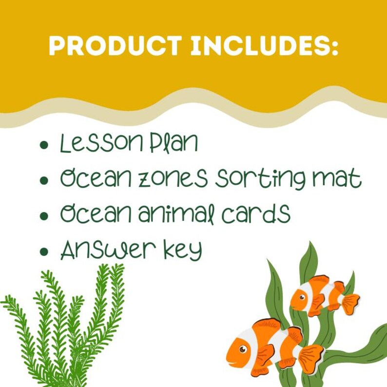 Ocean Zones Sorting Activity, Under the Sea Science for Preschoolers - Etsy