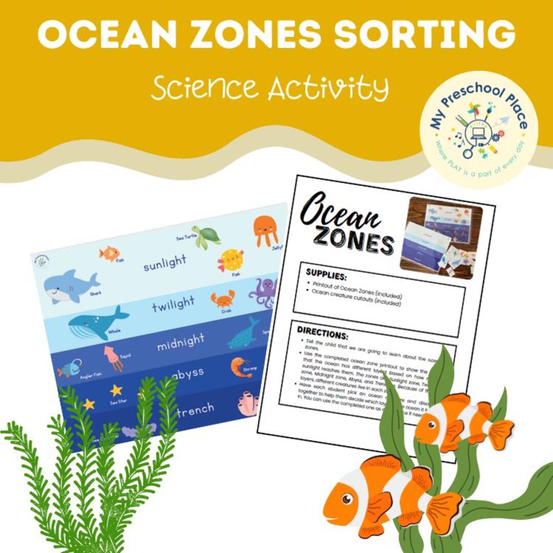 Ocean Zones Sorting Activity, Under the Sea Science for Preschoolers - Etsy