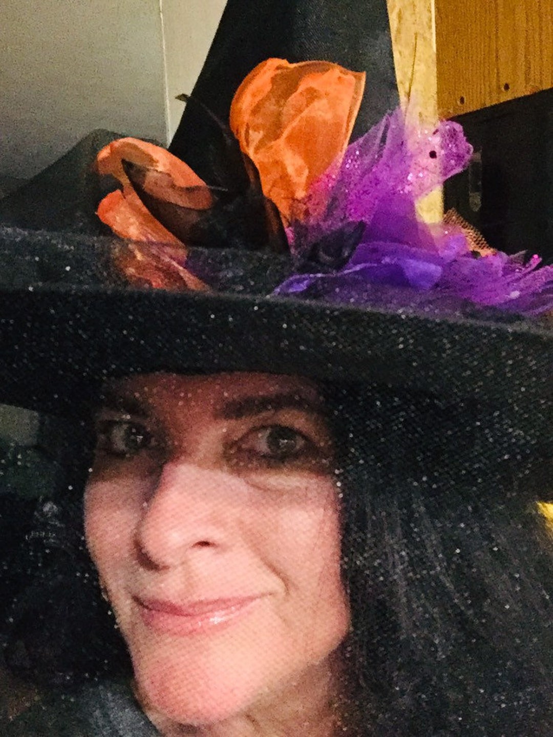 Moonlight Mystic Witch Hat - Tulle Organza Tri-color Halloween Costume ...