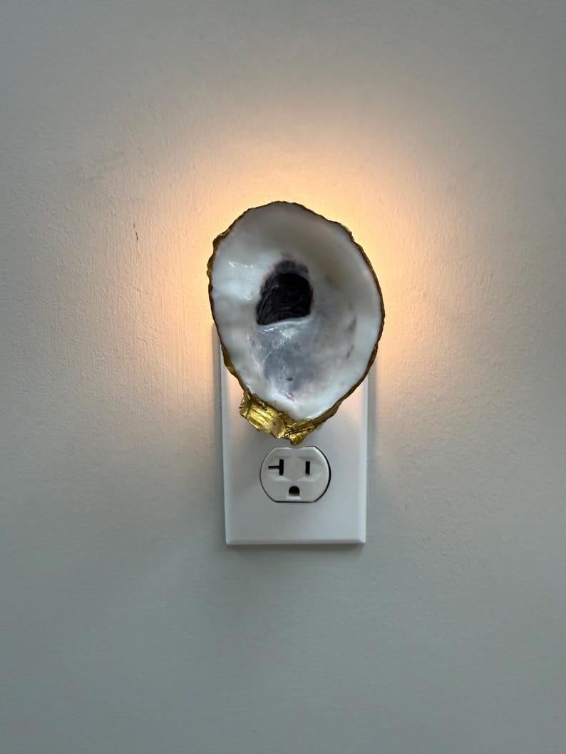 Oyster Shell Night Light - Etsy